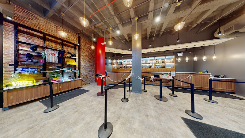 Grasshopper Club South Loop Chicago Dispensary Chicago, Illinois ...